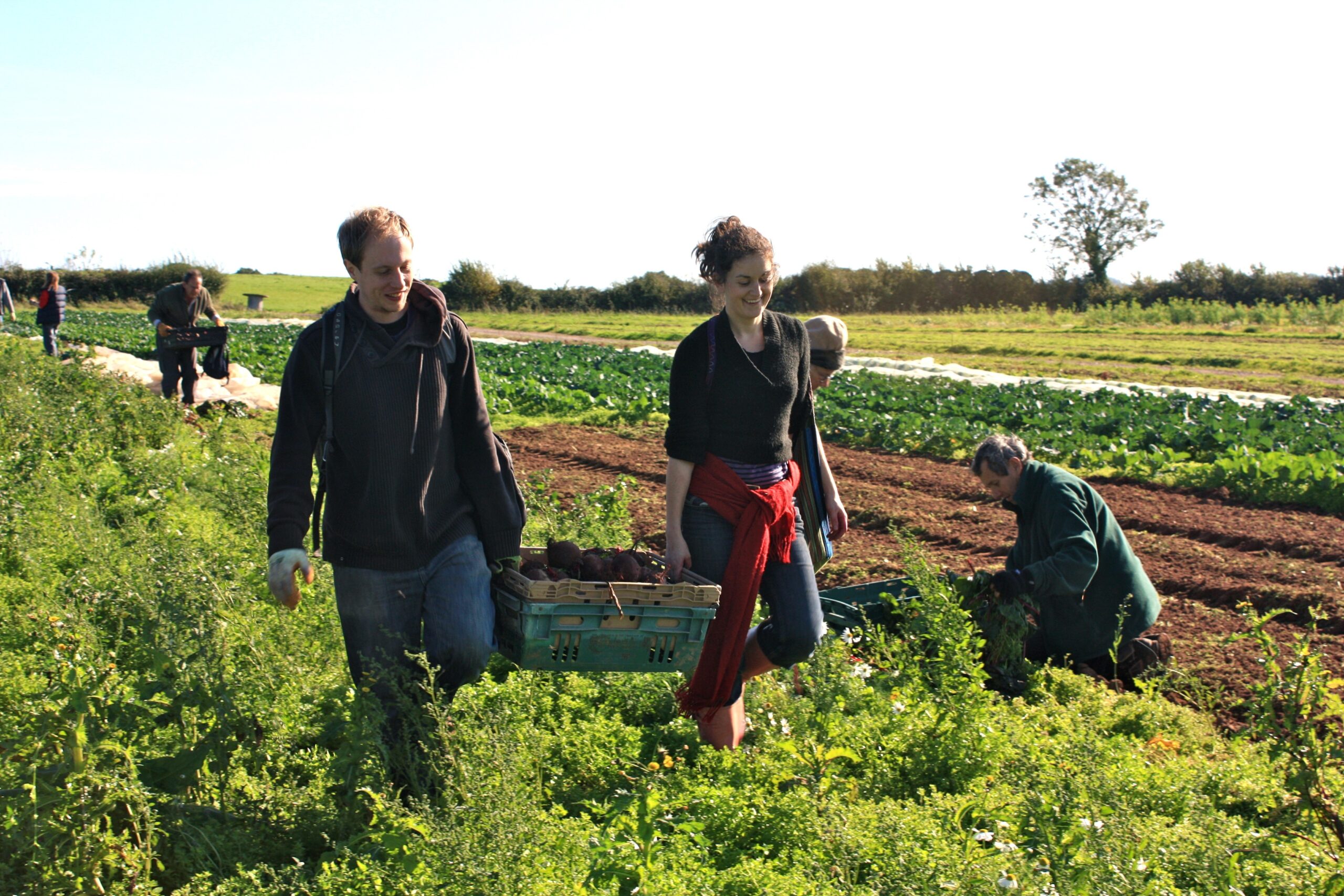 Appel à projets pour la transition écologique des filières agricoles ...