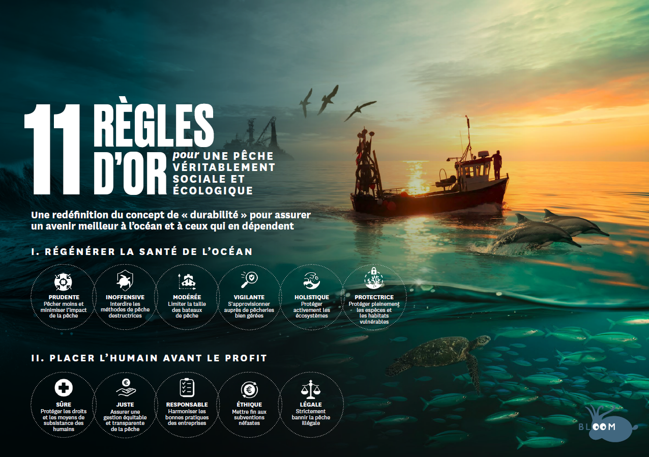 11 règles d’or pour une pêche véritablement sociale et écologique - ALTAA