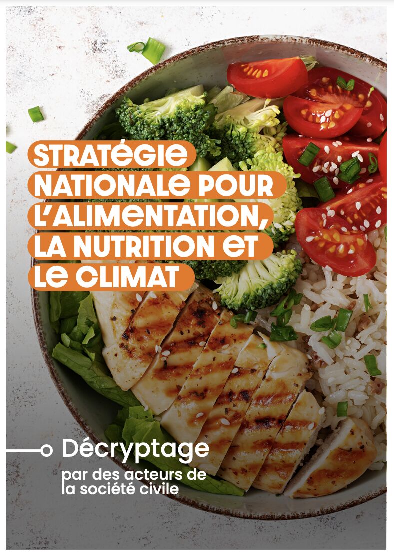 Décryptage de la Stratégie nationale Alimentation, Nutrition, Climat ...